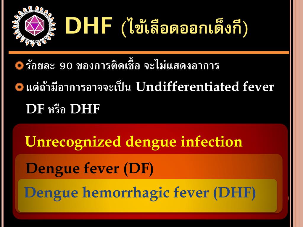 PPT - DENGUE HEMORRHADGIC FEVER DHF PowerPoint Presentation, free ...