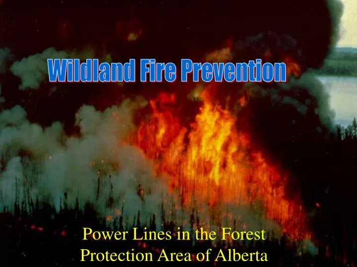 PPT - Wildland Fire Prevention PowerPoint Presentation, free download ...