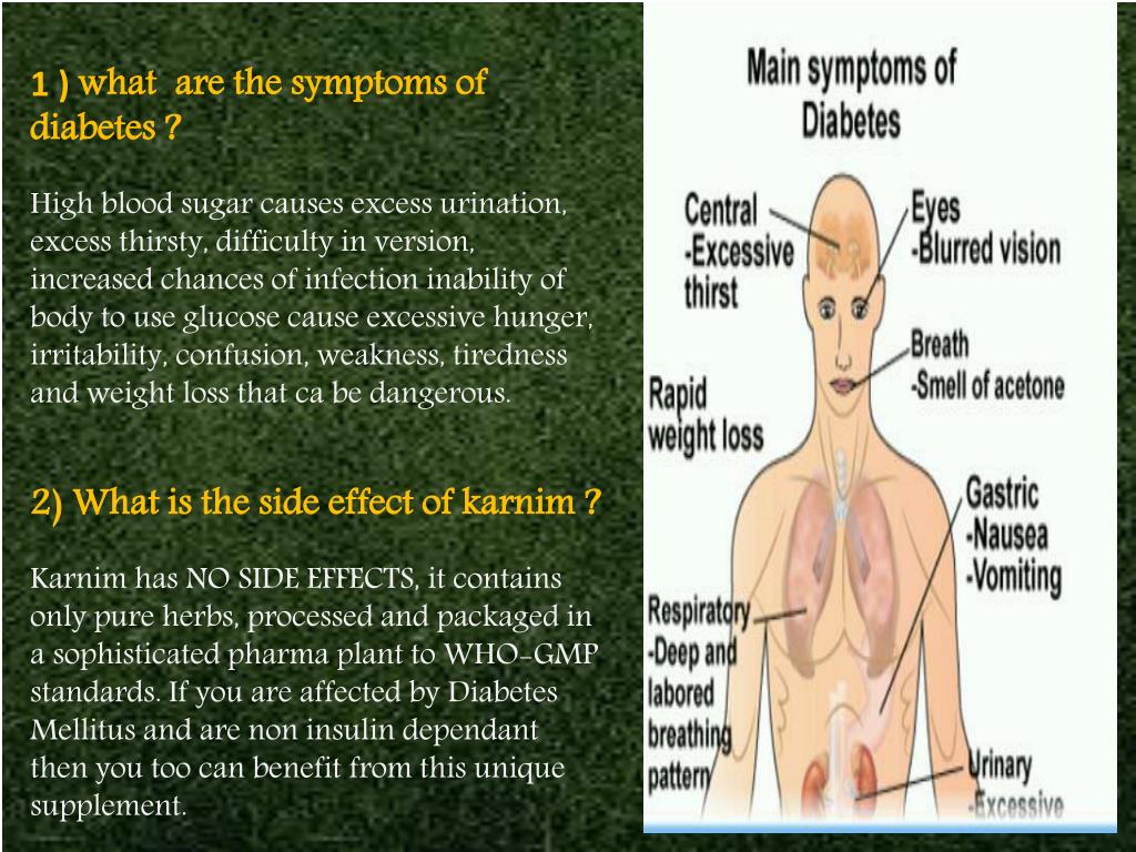 PPT - Ayurvedic Herbal karnim medicine use for Diabetes control ...
