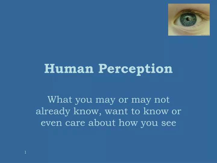 PPT - Human Perception PowerPoint Presentation, free download - ID:5236399