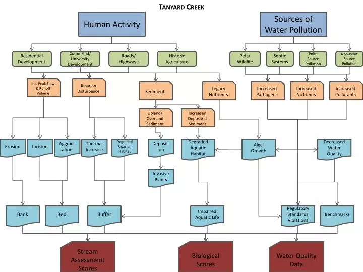 PPT - Human Activity PowerPoint Presentation, free download - ID:5236825