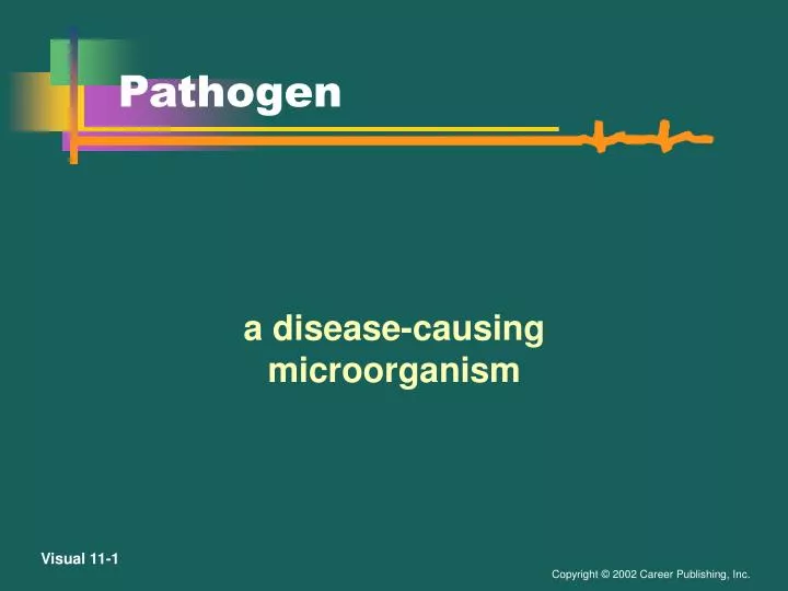 PPT - Pathogen PowerPoint Presentation, free download - ID:5242332