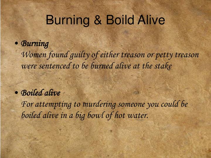 PPT - Crime and punishment in Tudor Age PowerPoint Presentation - ID ...