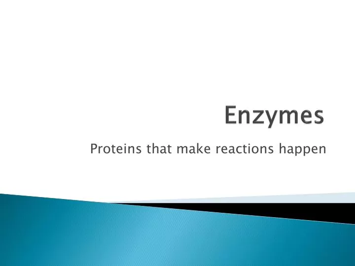 PPT - Enzymes PowerPoint Presentation, free download - ID:5247152