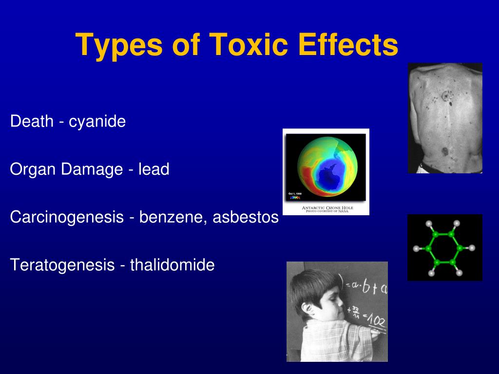 Ppt Introduction To Toxicology Powerpoint Presentation Free Download