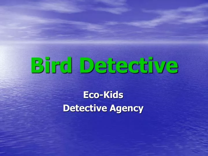 PPT - Bird Detective PowerPoint Presentation, free download - ID:5251659