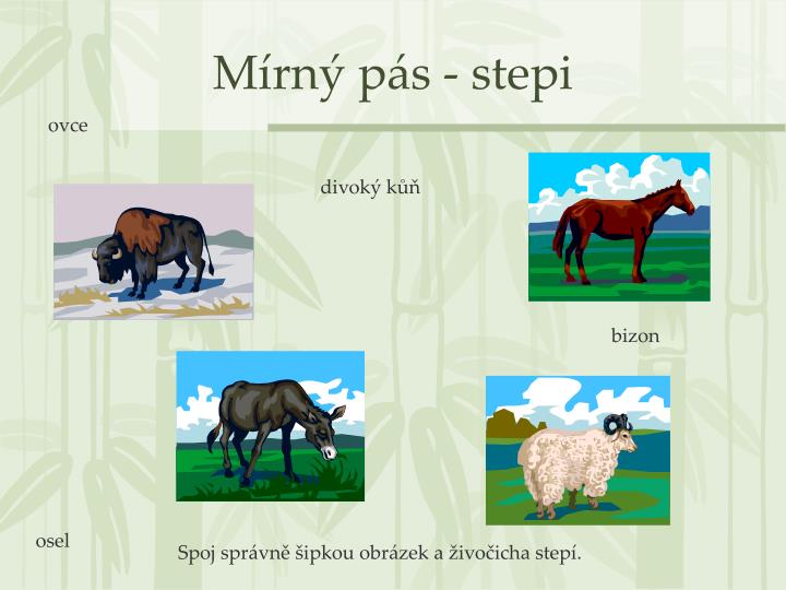 PPT - Podnebné pásy - živočichové PowerPoint Presentation - ID:5254761