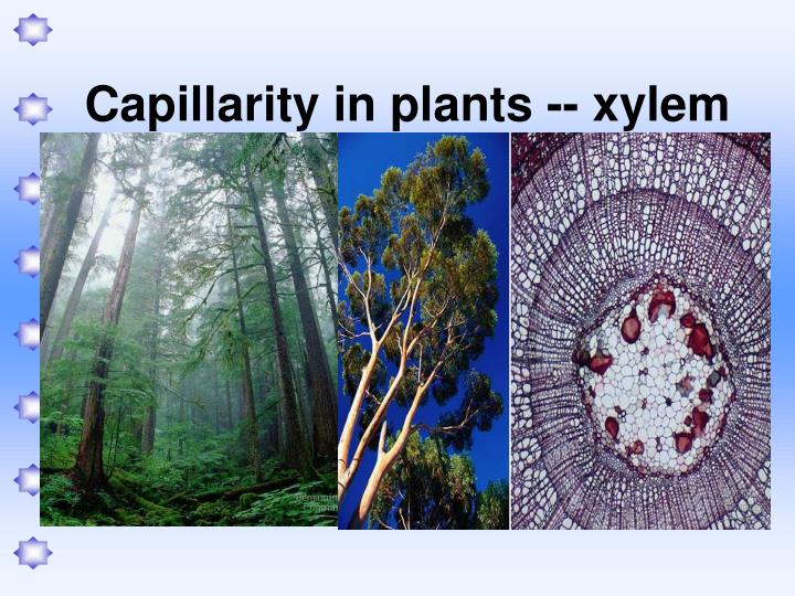 PPT - Biology Biochemistry Unit Chapter 2 The Chemistry of Life ...