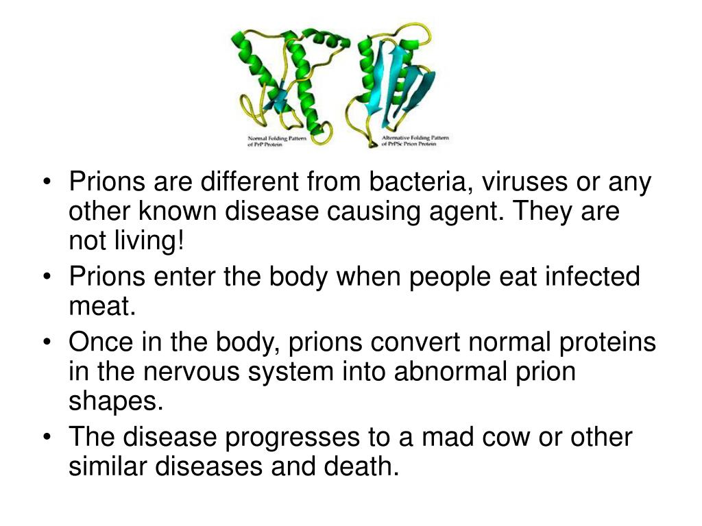 Ppt Mad Cow Disease Powerpoint Presentation Free Download Id 5257179