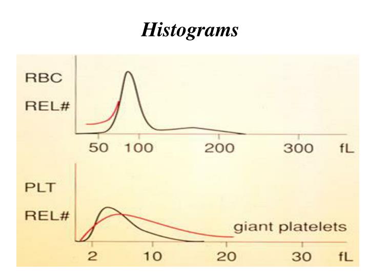 PPT - Complete Blood Count (CBC) PowerPoint Presentation - ID:5258057