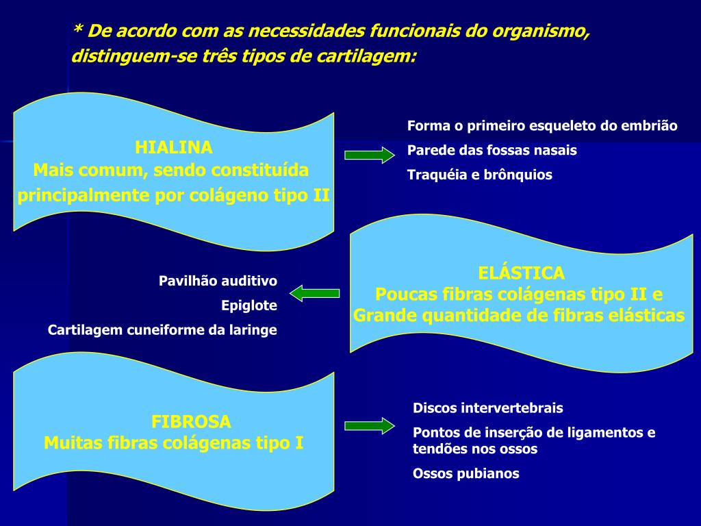 PPT - HISTOLOGIA TECIDO CARTILAGINOSO PowerPoint Presentation, free ...