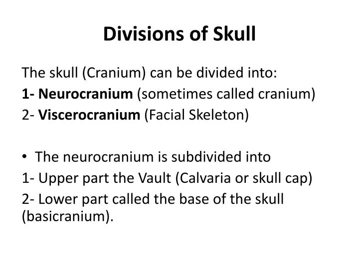PPT - The Skull I PowerPoint Presentation - ID:5259261