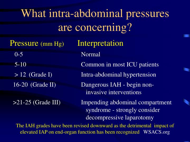 PPT - Intra-Abdominal Hypertension (IAH) PowerPoint Presentation - ID ...