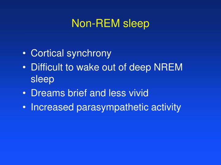PPT - Neurobiology of Sleep and Wakefulness PowerPoint Presentation ...