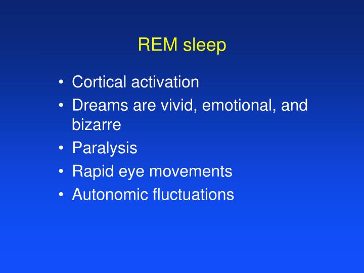 PPT - Neurobiology of Sleep and Wakefulness PowerPoint Presentation ...