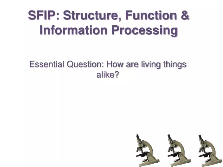 PPT - SFIP: Structure, Function & Information Processing PowerPoint ...