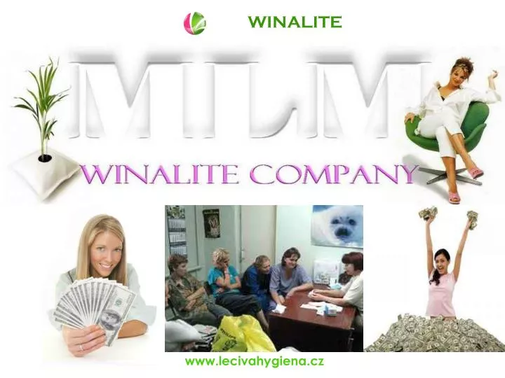 PPT - WINALITE PowerPoint Presentation, free download - ID:5263011