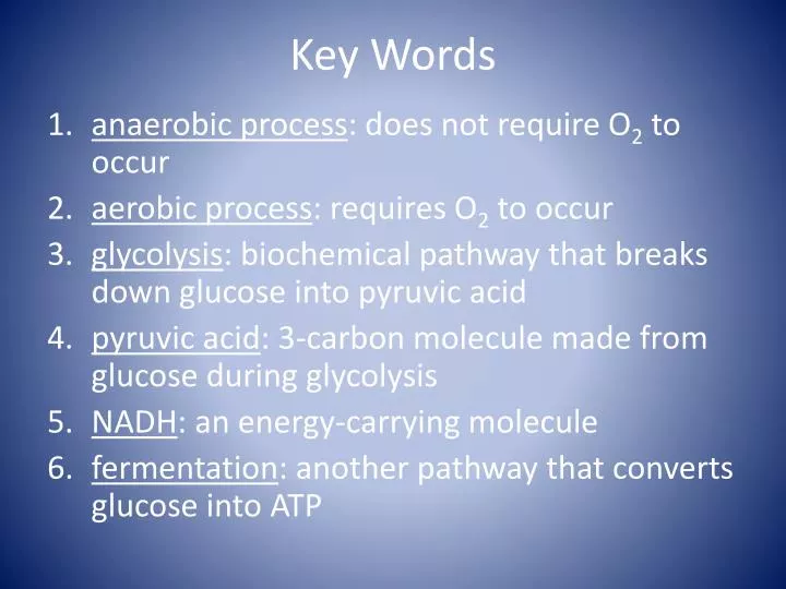 PPT - Key Words PowerPoint Presentation, free download - ID:5263349