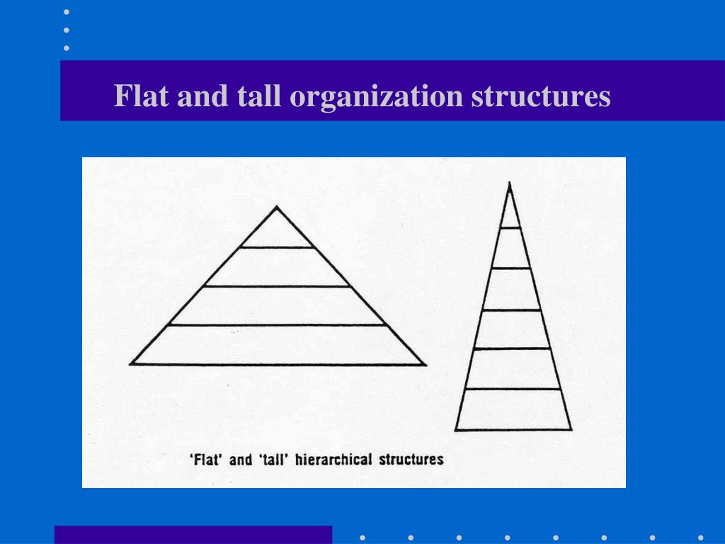 PPT - ORGANISATIONAL STRUCTURE Falkné dr. Bánó Klára BGF ...