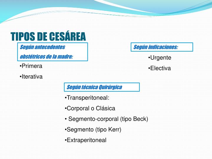 PPT - Operación Cesárea PowerPoint Presentation - ID:5264648