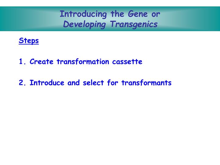 PPT - Transgenic Plants PowerPoint Presentation - ID:5266745
