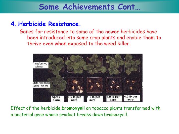 PPT - Transgenic Plants PowerPoint Presentation - ID:5266745
