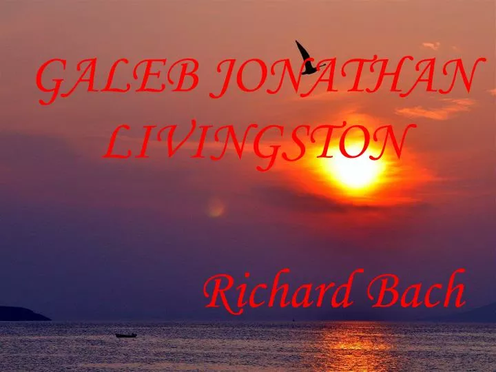 PPT - GALEB JONATHAN LIVINGSTON PowerPoint Presentation, free download ...