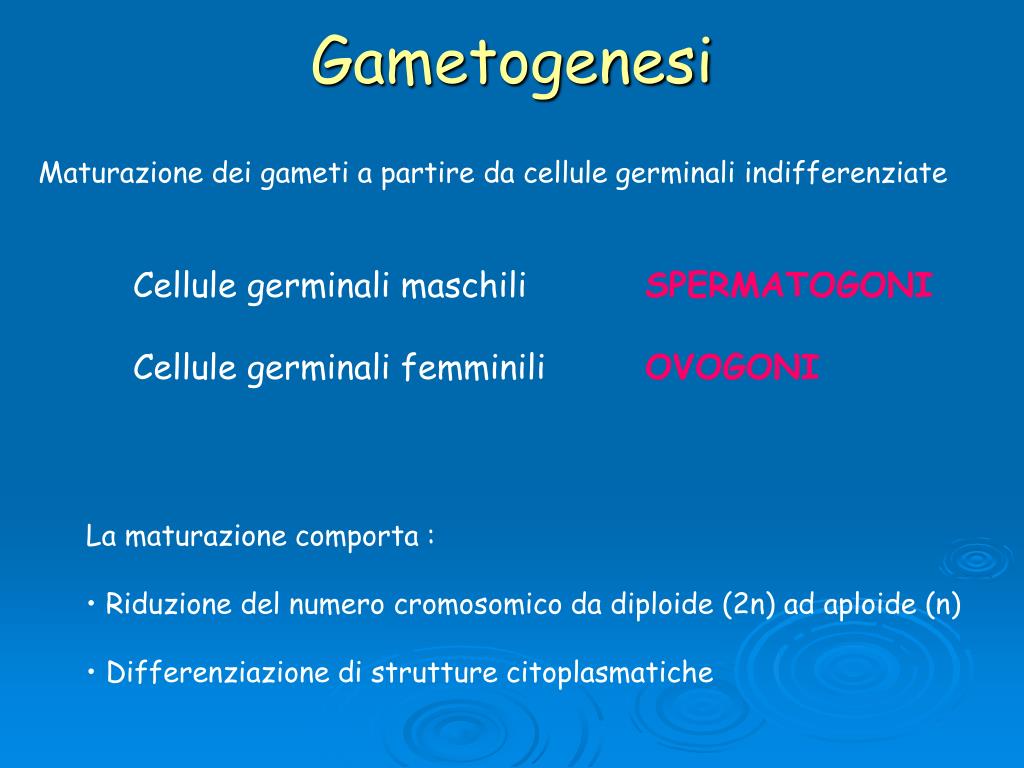 PPT - DNA E RIPRODUZIONE CELLULARE PowerPoint Presentation, free ...
