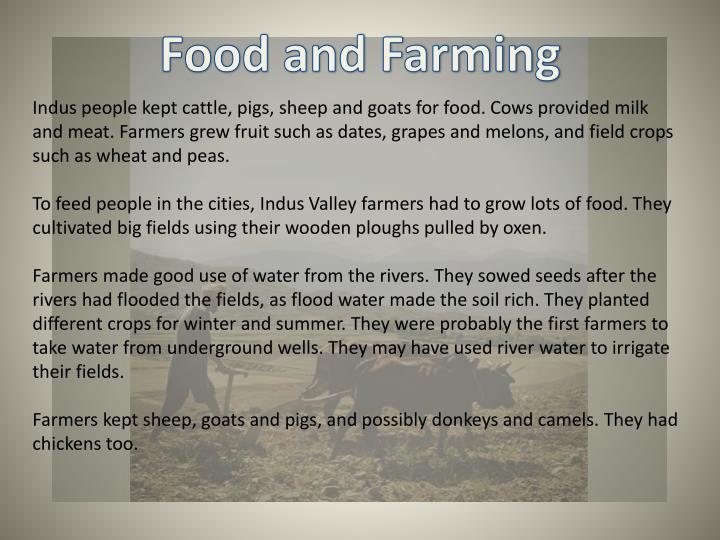 PPT - INDUS VALLEY CIVILIZATION PowerPoint Presentation - ID:5277964