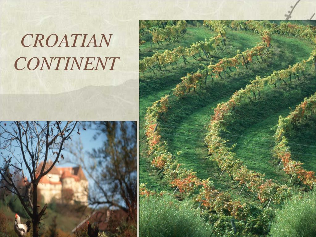 PPT - HRVATSKA HRVAŠKA CROAZIA CROACIA CROATIA PowerPoint Presentation ...