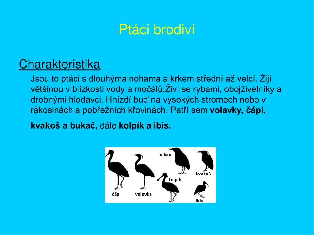 PPT - VY_32_INOVACE_Př-ž 6.,7.16 Anotace: Vzdělávací oblast: Ptáci ...