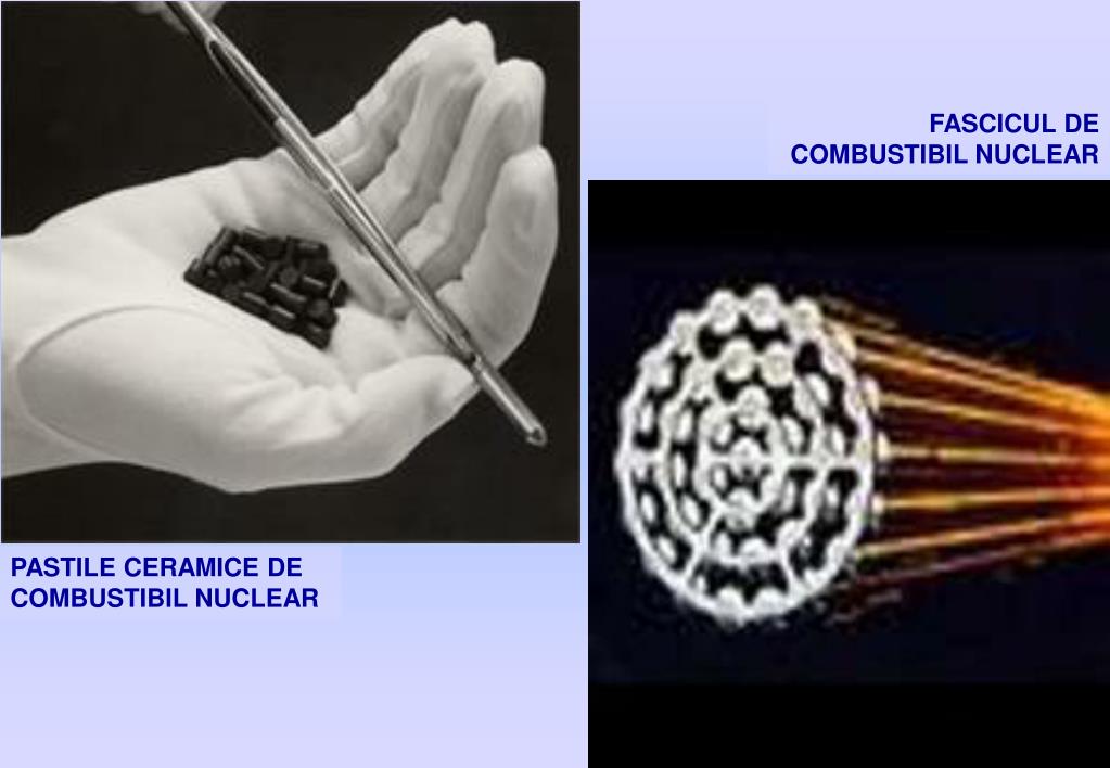PPT - SOCIETATEA NATIONALA NUCLEARELECTRICA (SNN) SA STRUCTURA ...