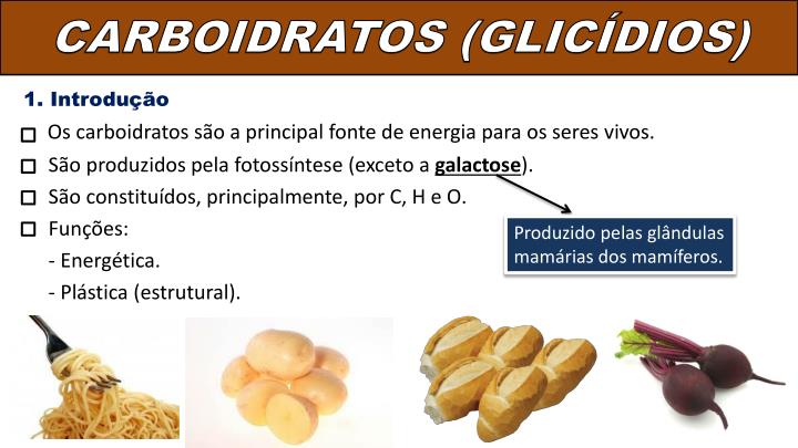 PPT - BIOQUÍMICA CELULAR PowerPoint Presentation - ID:5293830