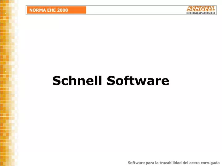 PPT - Schnell Software PowerPoint Presentation, free download - ID:5294496