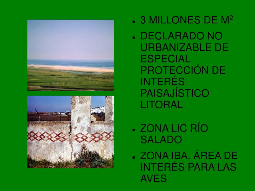 PPT - LA ORDENACIÓN SOSTENIBLE DEL TERRITORIO Y EL LITORAL PowerPoint ...