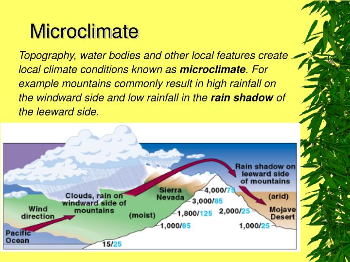 PPT - Biology PFHS Climate and Biomes PowerPoint Presentation - ID:5295413