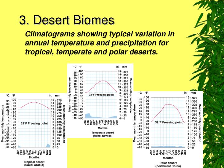 PPT - Biology PFHS Climate and Biomes PowerPoint Presentation - ID:5295413