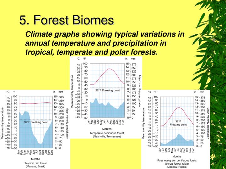 PPT - Biology PFHS Climate and Biomes PowerPoint Presentation - ID:5295413