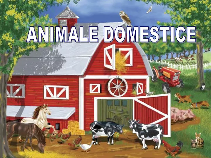 PPT - ANIMALE DOMESTICE PowerPoint Presentation, free download - ID:5295705