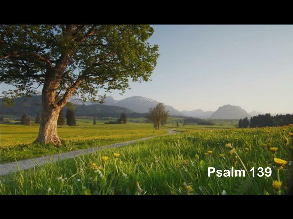 PPT - Psalm 139 PowerPoint Presentation, free download - ID:5296931 PPT - Psalm 139 PowerPoint Presentation, free download - ID:5296931