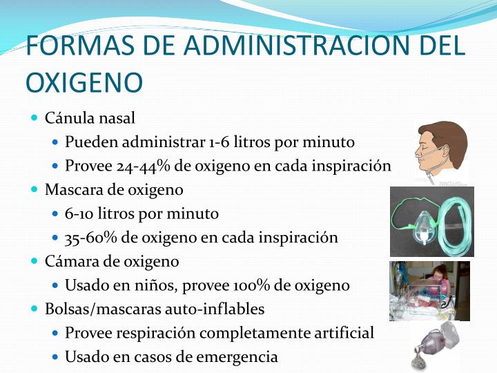 PPT - EL SISTEMA RESPIRATORIO PowerPoint Presentation - ID:5298221