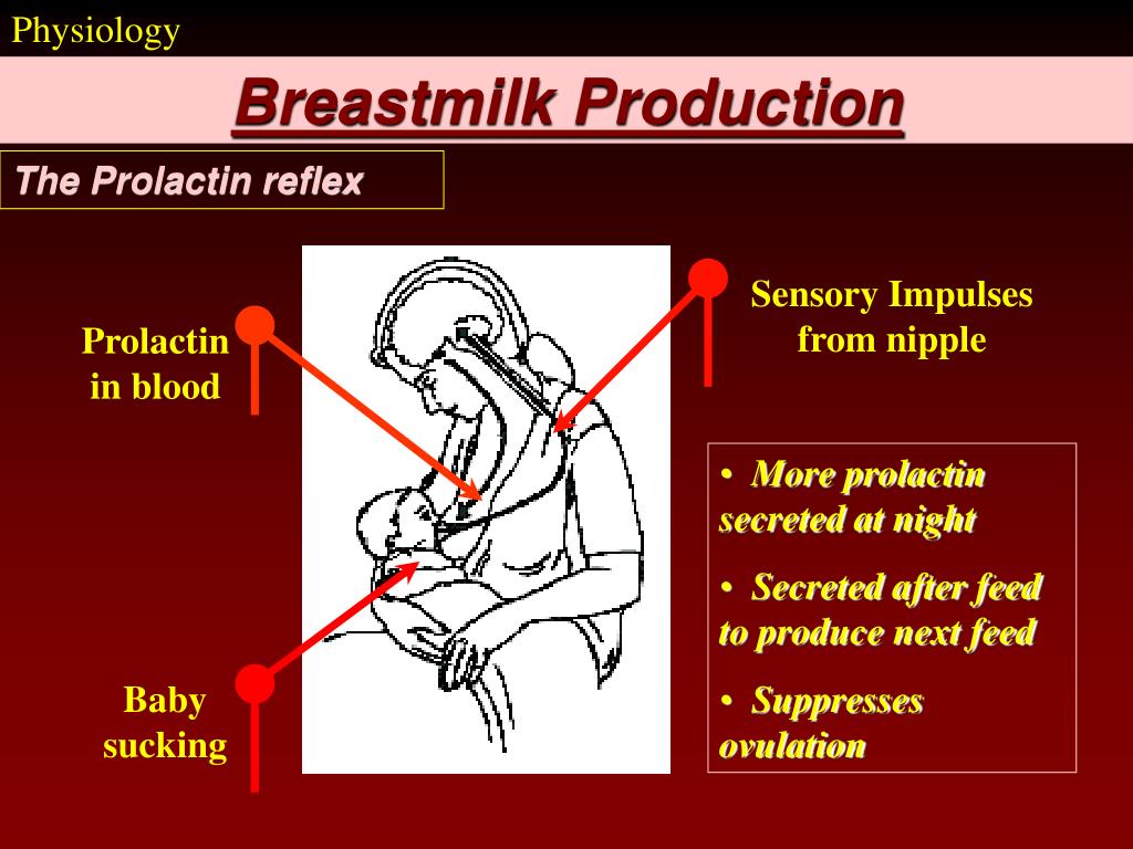 Ppt World Breastfeeding Week August 1 7 Powerpoint Presentation Free