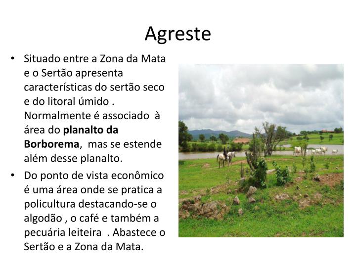 PPT - Região Nordeste PowerPoint Presentation - ID:5300378