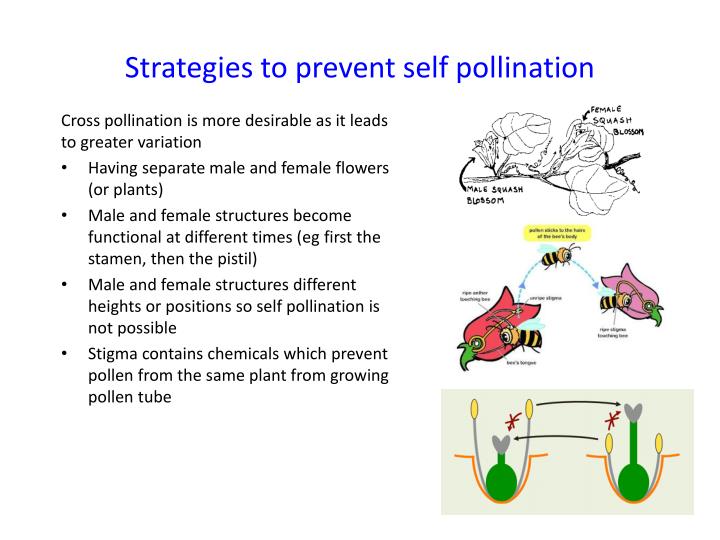 PPT - Biology 2B PowerPoint Presentation - ID:5301202