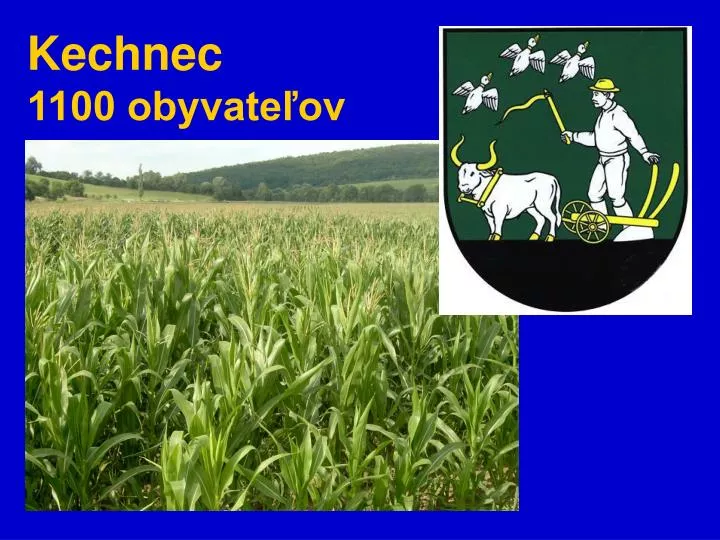 PPT - Kechnec 1100 obyvateľov PowerPoint Presentation, free download ...