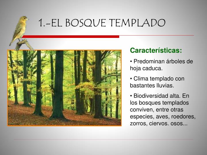 PPT - Los Ecosistemas PowerPoint Presentation - ID:5302374