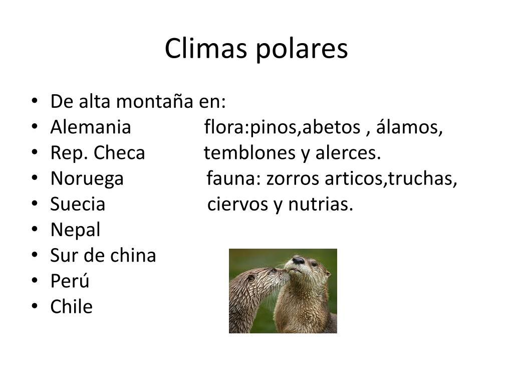 Ppt Los Climas En El Mundo Powerpoint Presentation Free Download