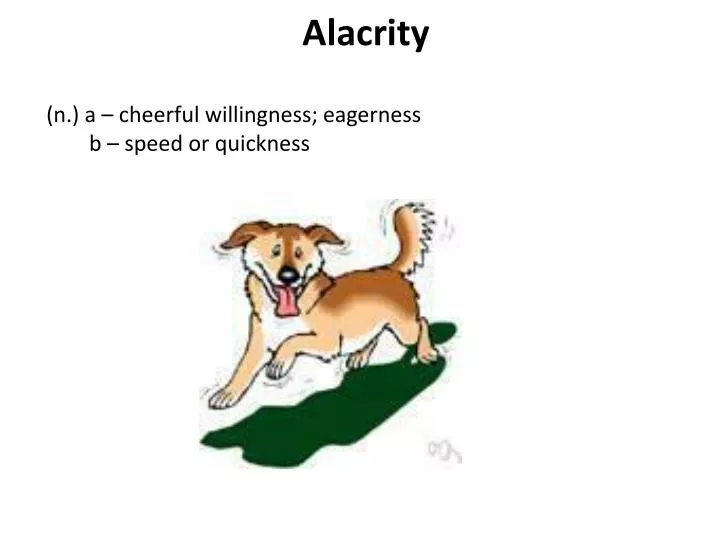 PPT - Alacrity PowerPoint Presentation, free download - ID:5302550