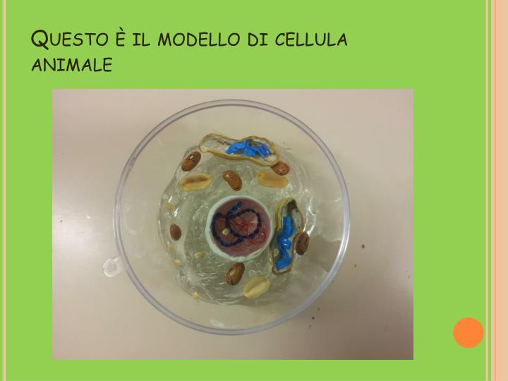 PPT - La cellula PowerPoint Presentation - ID:5304328