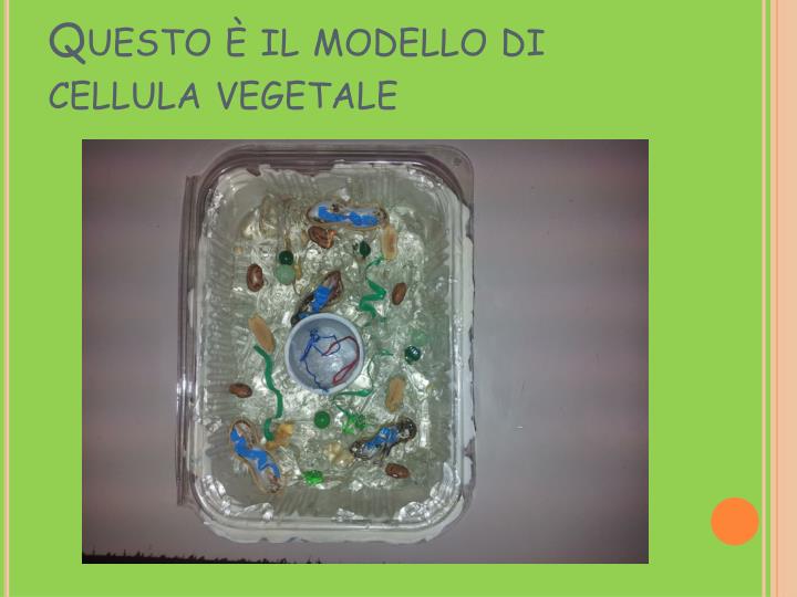 PPT - La cellula PowerPoint Presentation - ID:5304328